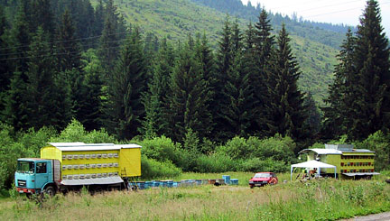 Carpathian Mountains
